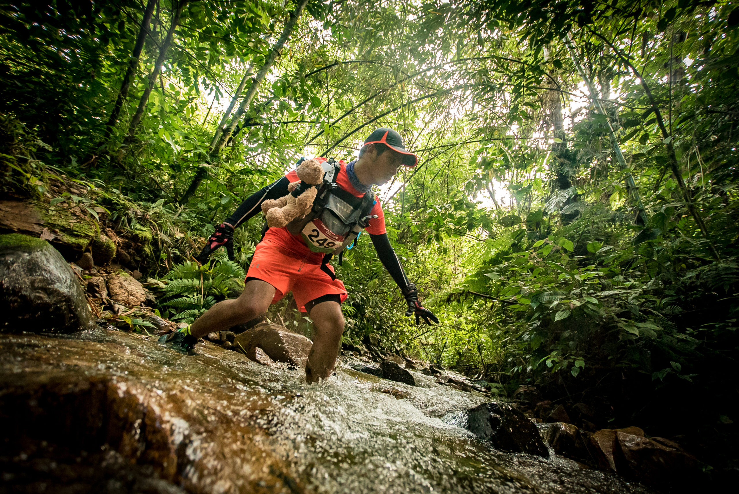 Jungle Ultra - Beyond the Ultimate